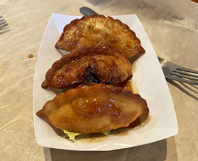 Golden-brown potstickers glistening with a perfect sear—because sometimes even a burger joint knows the importance of a plot twist.