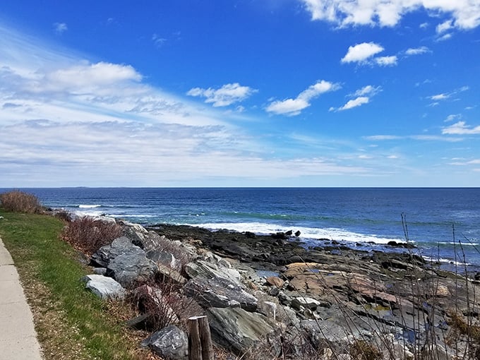 Rye's rocky shores remind us that New England's coast isn't just about sandy beaches – it's about dramatic geology meeting relentless waves.