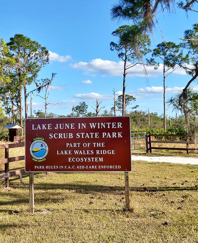 The official welcome sign – where "Lake June-in-Winter" continues to confuse first-time visitors expecting snow in the Sunshine State.