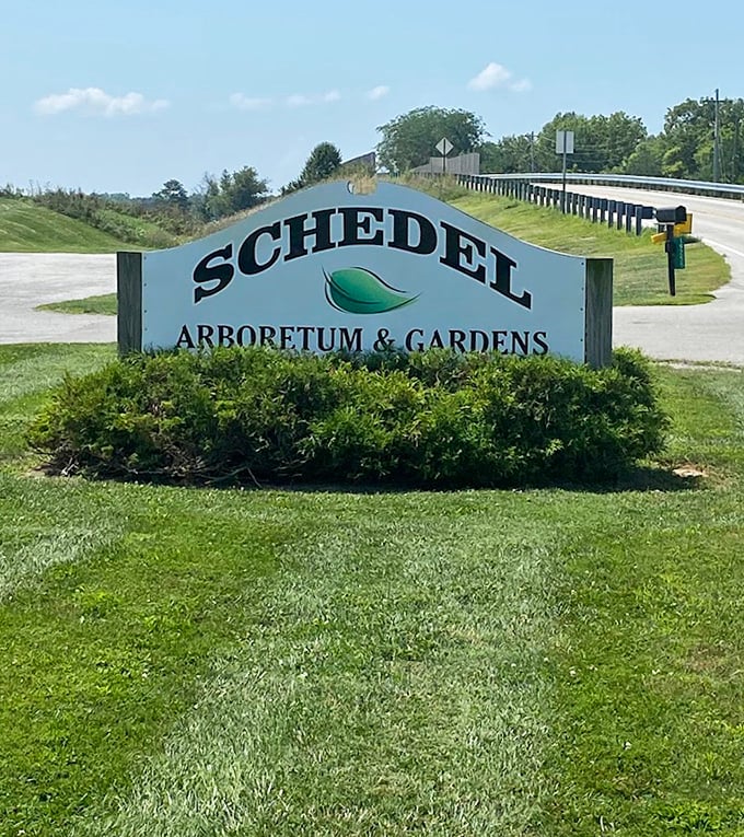The gateway to wonderland! This unassuming sign marks the threshold between ordinary life and the extraordinary experience that awaits beyond.