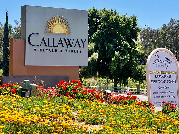 Callaway's entrance sign blooms amid a riot of California wildflowers—nature's own colorful endorsement of what awaits inside.