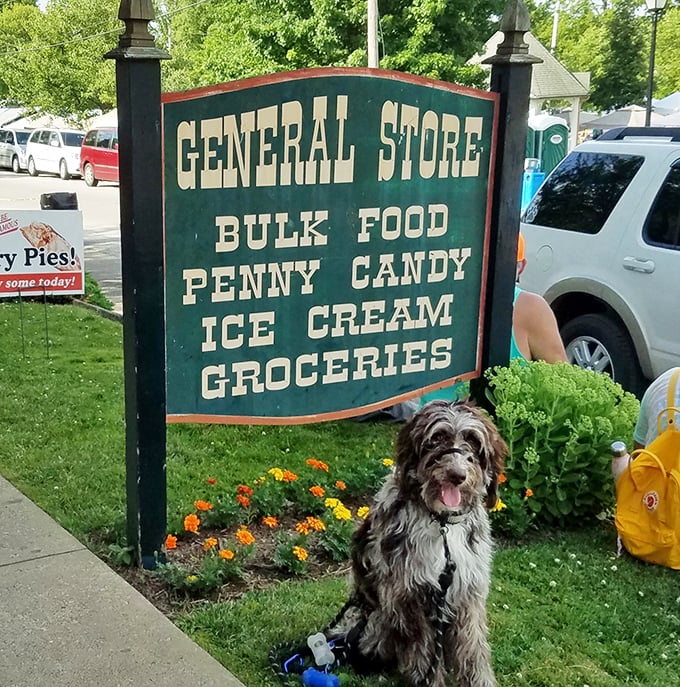 The store's welcoming sign with an equally welcoming canine ambassador. Even the dogs know this place is worth wagging about.