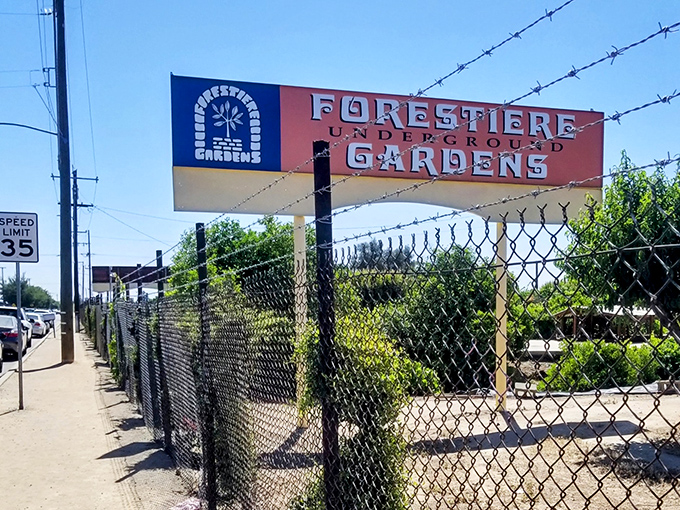 The unassuming entrance along a Fresno street hides one of California's most remarkable attractions—proof that magic exists below street level.