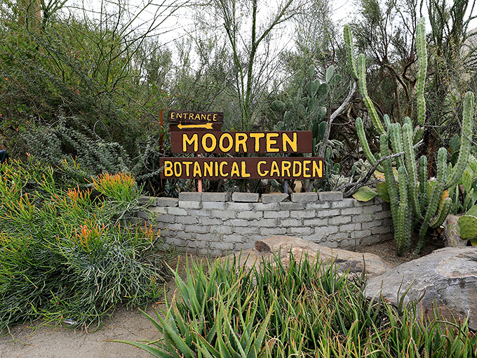The entrance sign promising botanical adventures beyond. No turning back now – you're about to enter a genuinely different world.
