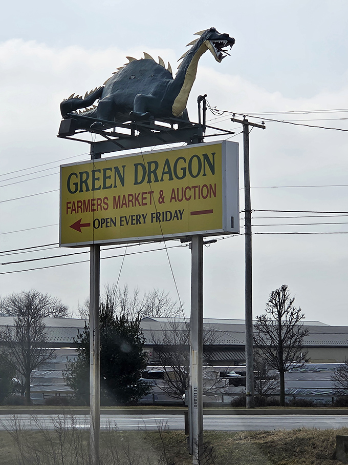 The iconic Green Dragon sign—where a mythical beast guards the entrance to a very real food paradise that's been tempting Pennsylvania taste buds for generations.
