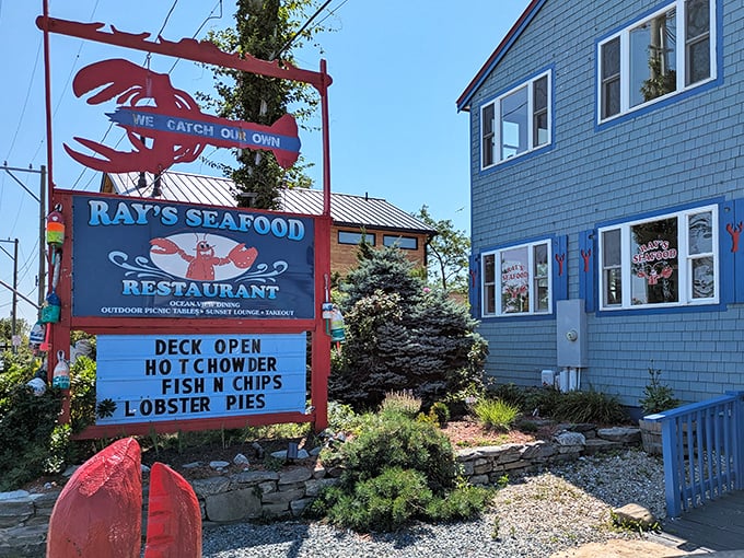"We Catch Our Own" isn't just a slogan on Ray's cheerful sign—it's the philosophy that makes this blue-shingled seafood haven a New Hampshire treasure.