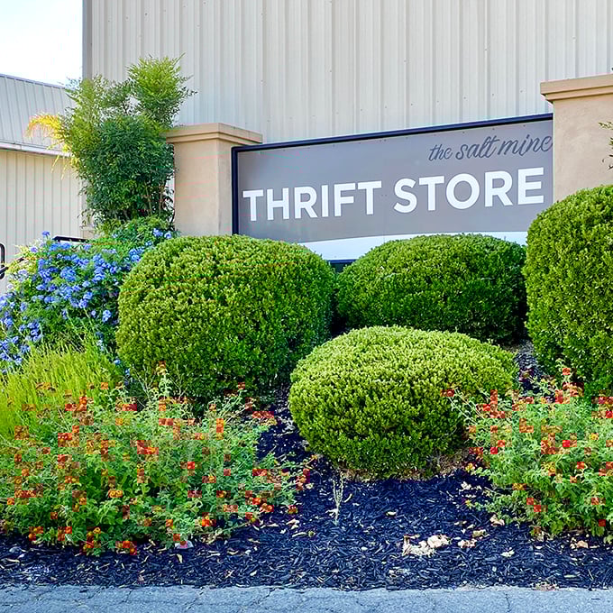 Curb appeal that means business. The landscaping says "respectable retail establishment," while the sign whispers "bargains inside."