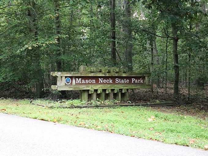 The park entrance sign—humble in design but mighty in promise—marking the threshold between ordinary life and extraordinary natural beauty.