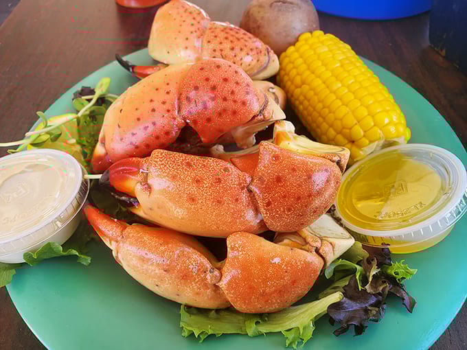 Stone crab claws—Florida's edible treasure—served simply because perfection needs no embellishment.