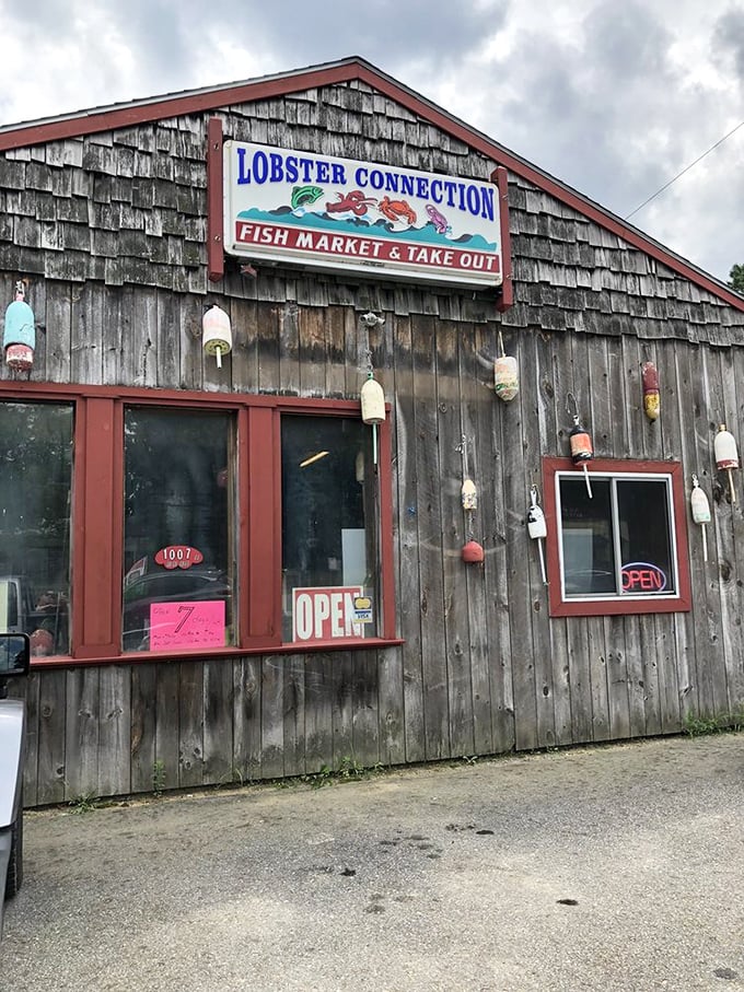 That sign isn't just advertising a restaurant—it's a beacon for seafood pilgrims seeking the real New England experience.
