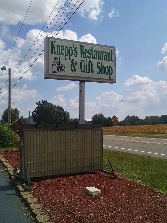 The roadside sign stands like a beacon of hope for hungry travelers. In a world of golden arches, this green sign promises something authentically delicious.