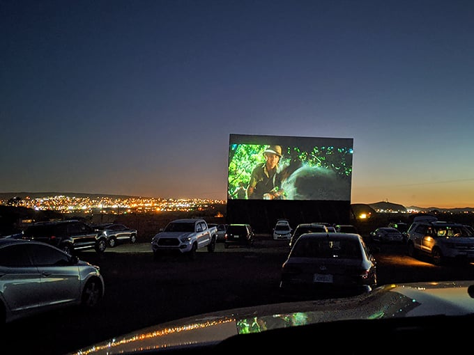 As twilight fades to darkness, the real show begins—movies under the stars with city lights twinkling in the distance.