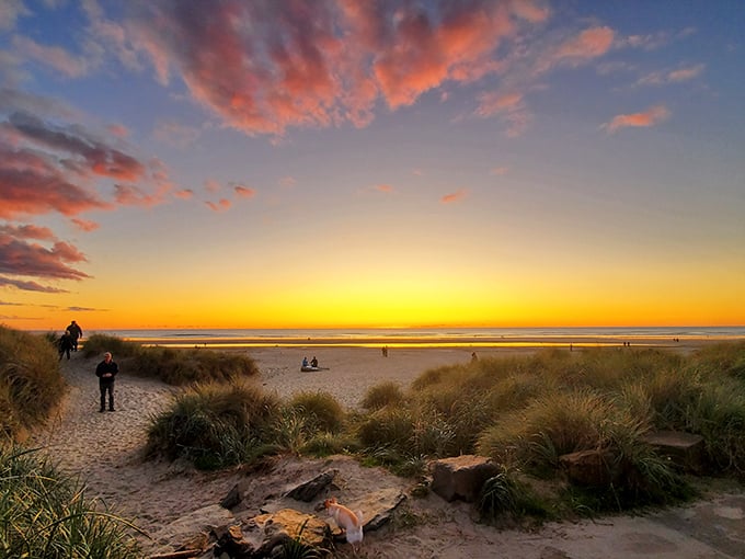 Mother Nature's light show doesn't require tickets—Manzanita sunsets paint the sky in hues that would make even the most jaded traveler pause in wonder.