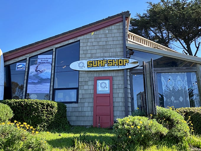 Where surf dreams begin—this charming shop has launched more aquatic adventures than a lifetime of beach movies could capture.