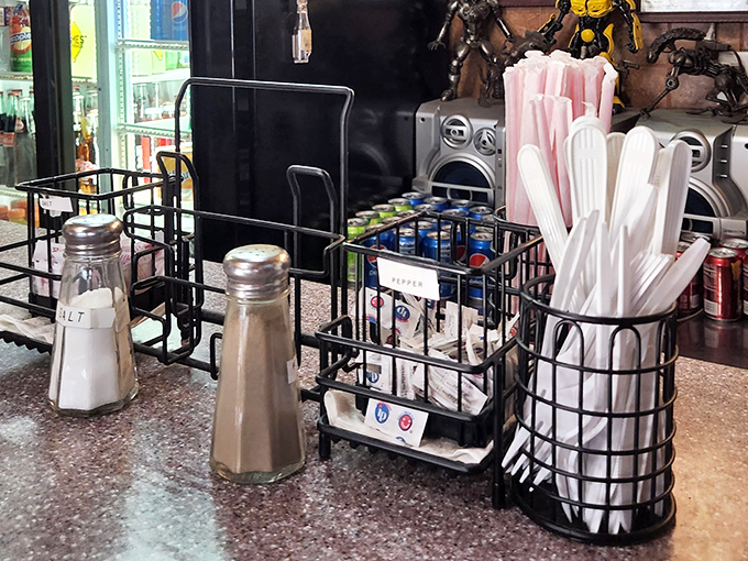Salt, pepper, and napkins stand ready for duty—the humble supporting cast in Kitty's daily performance of sandwich excellence.
