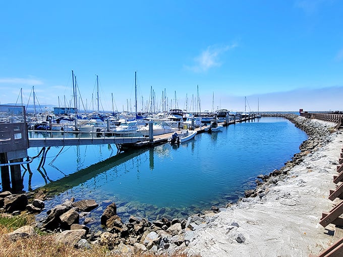The Princeton Harbor view—where fishing boats bring in tomorrow's catch while you enjoy today's. The perfect reminder of why "fresh" matters.