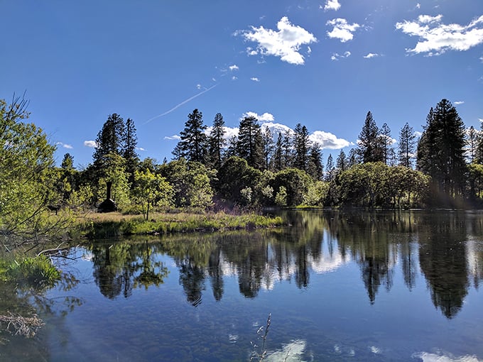 The ultimate screen saver comes to life—where sky meets water in a reflection so perfect you'll question which way is up.