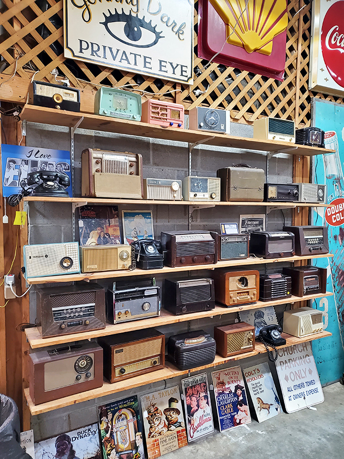 Radio days revisited! This impressive collection of vintage receivers spans decades of broadcast technology – from tube models to mid-century transistors.