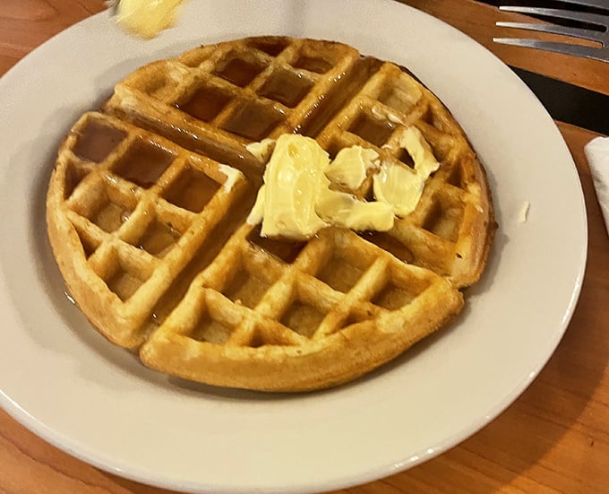 The humble waffle, wearing its crown of butter with the quiet confidence of breakfast royalty. No powdered sugar snowstorm needed when the basics are this good.