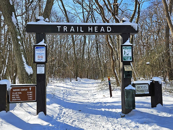 Winter transforms familiar trails into uncharted territory, where each footstep writes a temporary signature in nature's clean white notebook.