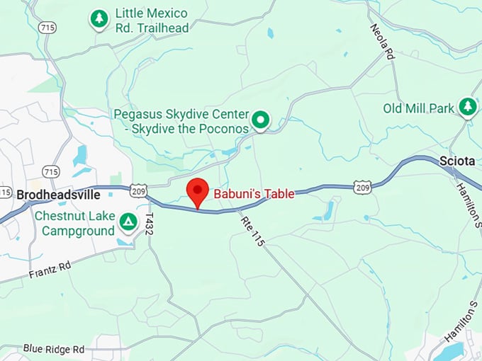 16. babuni’s table polish deli map