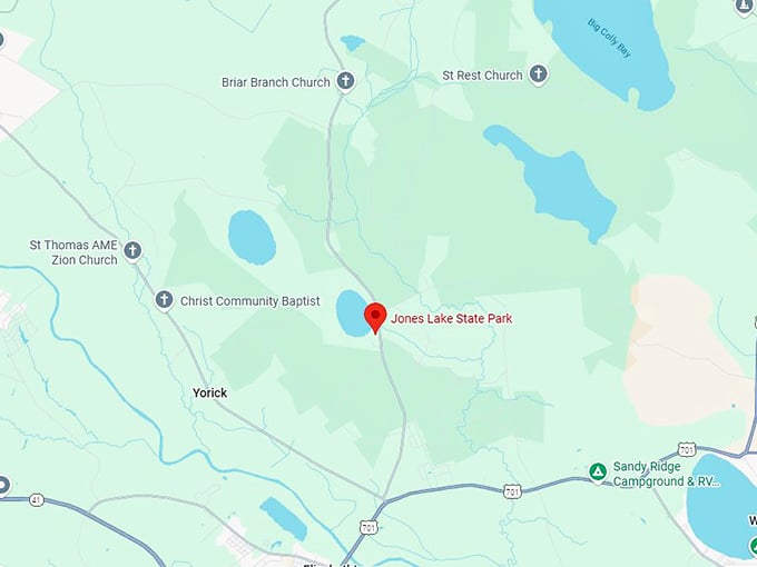 16. jones lake state park map