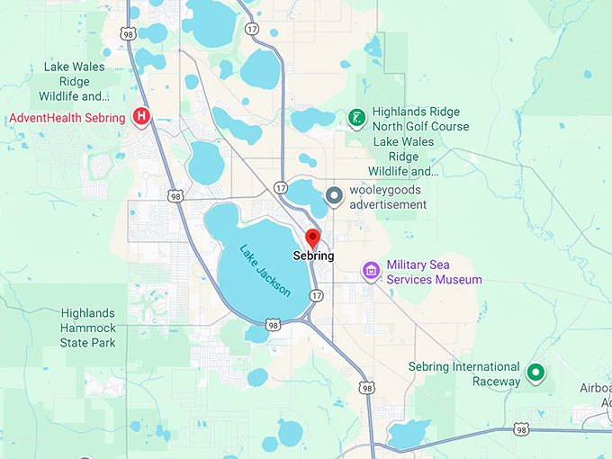16. sebring fl map