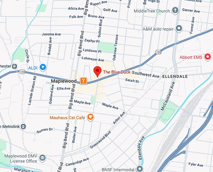 16. the balue duck map
