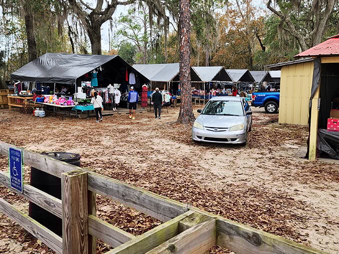 Rustic wooden stalls under towering trees create the perfect treasure-hunting atmosphere at Bargainville Flea Market.