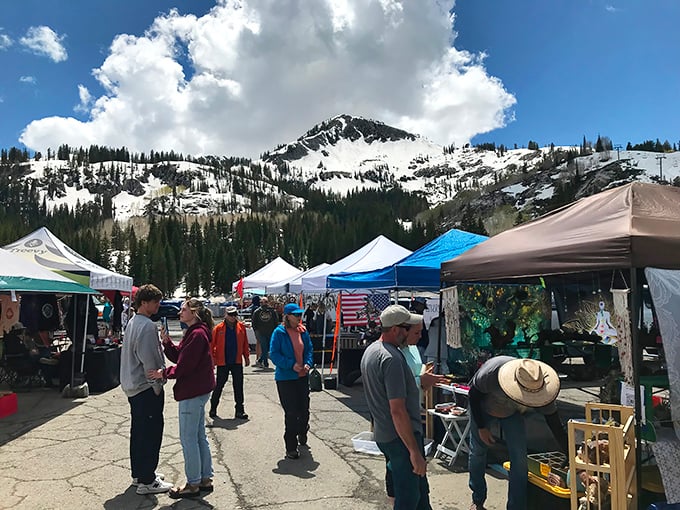 Mountain air meets treasure hunting - where altitude and attitude create the perfect shopping storm. 