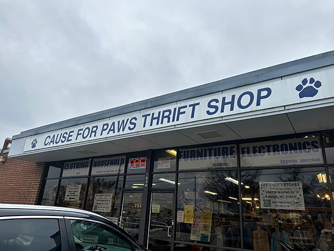 Look at that storefront - Cause for Paws proves that helping animals and finding treasures go perfectly together. 