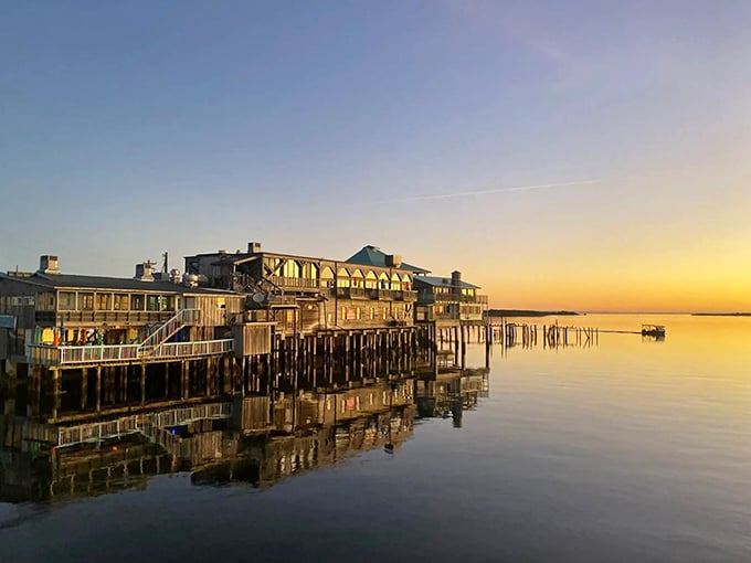 Golden hour hits different when you're perched over the Gulf like a pelican with a dinner reservation.