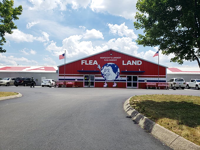 That cheerful cartoon flea mascot practically winks at you from this red barn treasure palace.