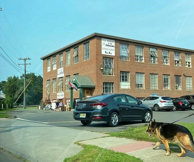 That classic brick building holds more treasures than a pirate's chest waiting to be discovered.