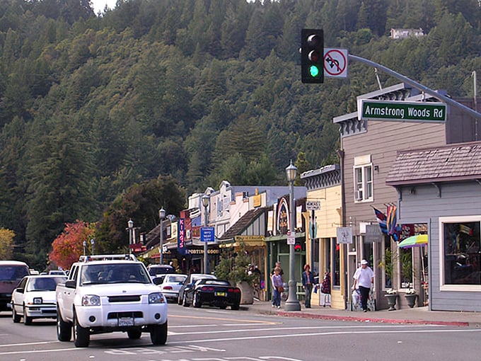 Guerneville's main street welcomes you with small-town charm and towering redwoods. Like stepping into a Norman Rockwell painting with better coffee.