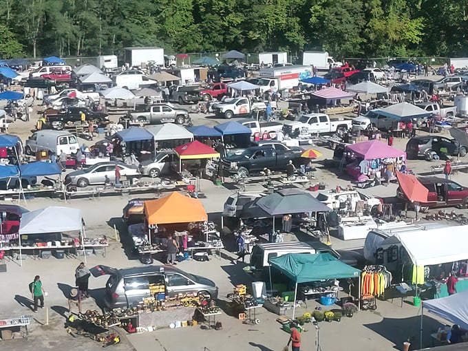 Aerial view reveals a treasure hunter's paradise where every car becomes a mobile shopping cart.