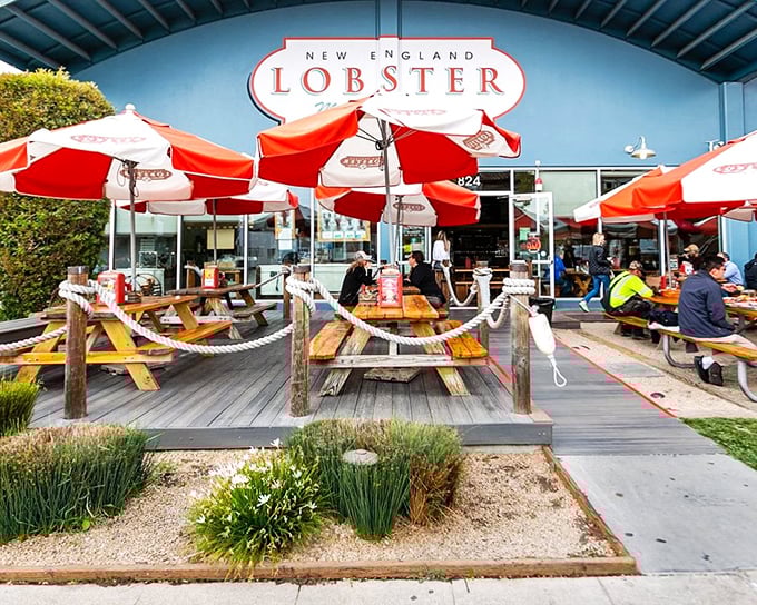 Those red umbrellas aren't just for show - they're marking the spot where New England meets California magic.