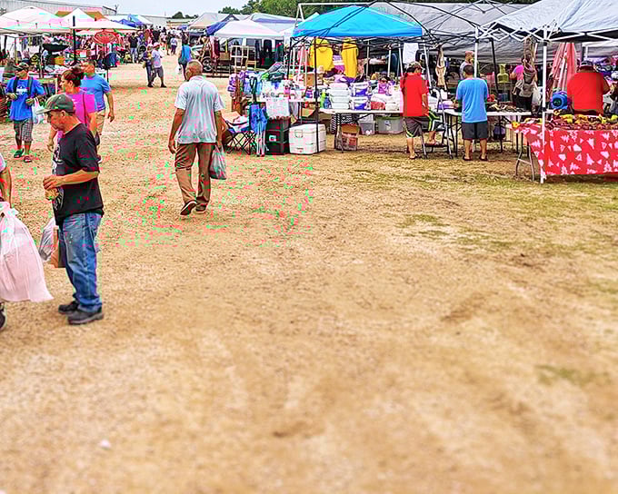 Weekend treasure hunters gather under colorful tents where every dollar stretches like good taffy.