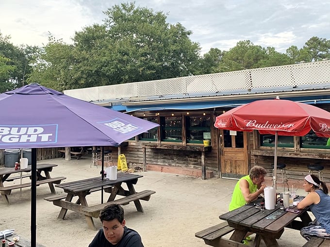 Picnic tables under colorful umbrellas – this is where serious oyster eaters gather for no-frills seafood feasts.