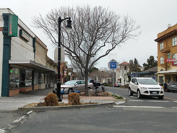 Downtown Rio Vista whispers small-town secrets under gray skies, where the library beckons and pizza joints promise comfort on chilly afternoons.