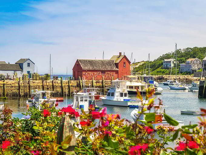 Rockport's famous red fishing shack proves that sometimes the most photographed building deserves every snapshot.