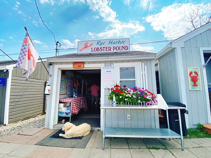 Sometimes the best treasures hide behind the most unassuming facades - like this charming seaside gem.