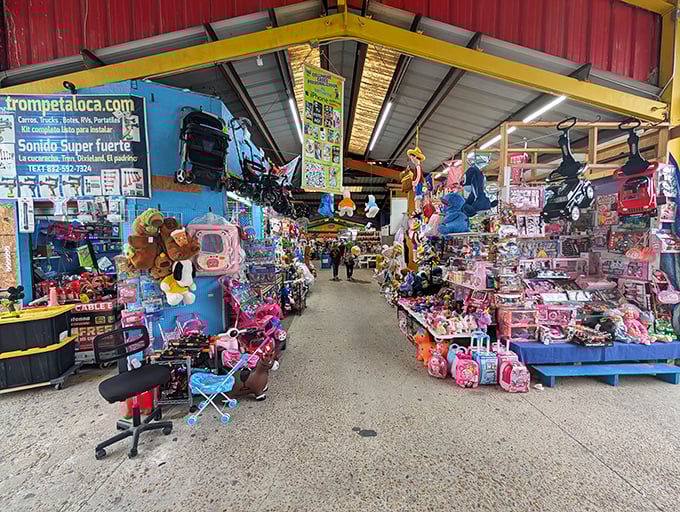 Colorful chaos meets organized treasure hunting - where every aisle promises a new discovery waiting to happen.