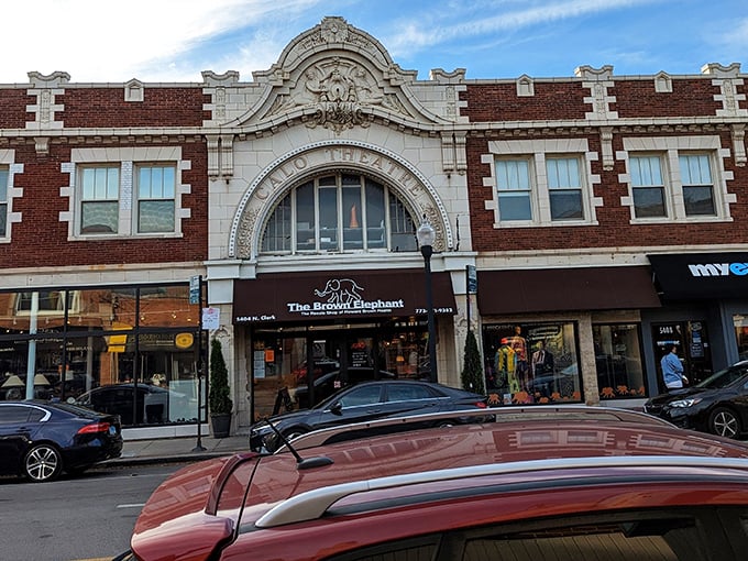The Brown Elephant's historic façade isn't just gorgeous—it's a portal to thrifting paradise hiding behind that grand entrance!