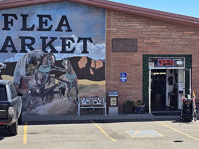 That mural hits you like a Saturday morning cartoon—horses charging through your childhood memories in living color.