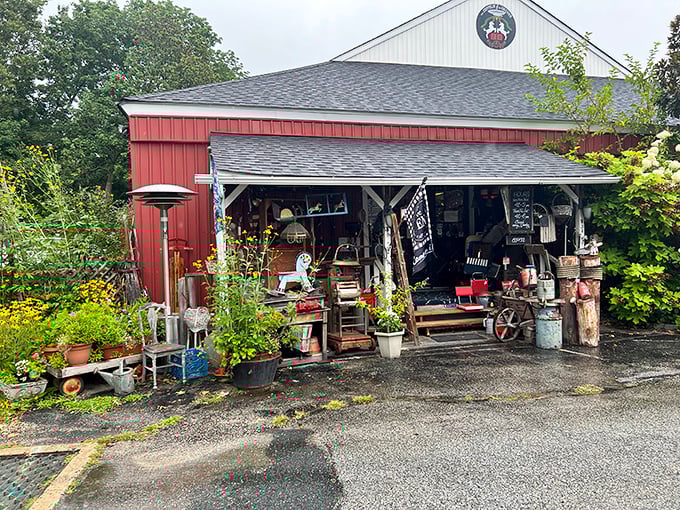 Like stepping into a treasure hunter's dream, this charming red barn overflows with vintage finds waiting to be discovered.