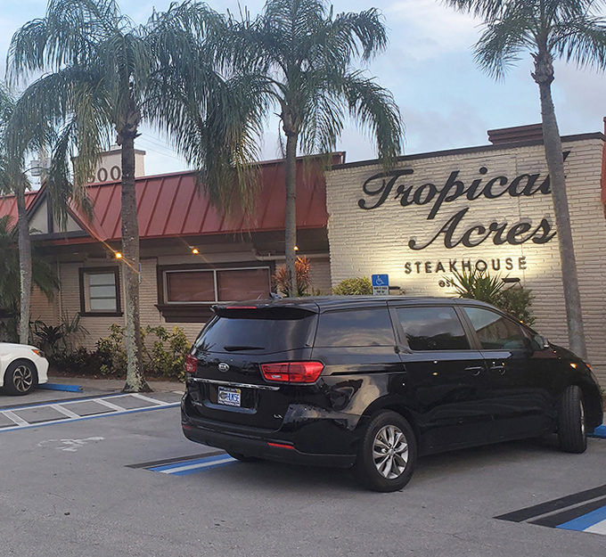 Palm trees standing guard like old friends at Tropical Acres – where Florida's steakhouse tradition has swayed in the breeze for generations.