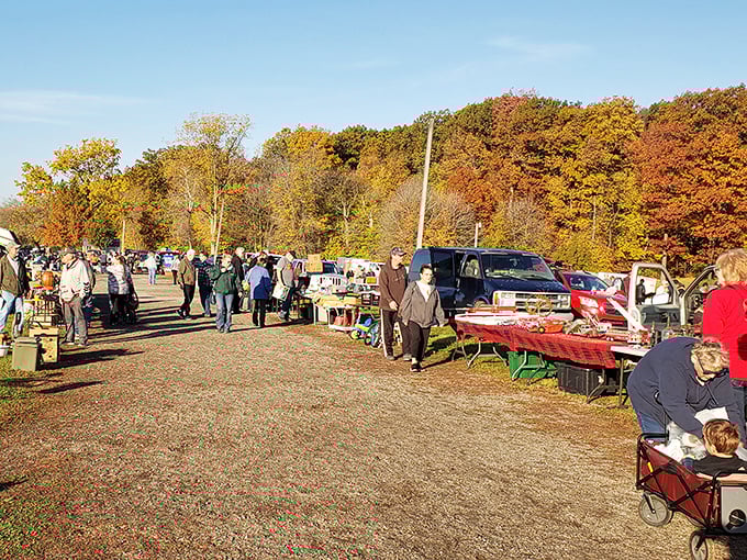 Autumn colors frame this outdoor bazaar perfectly, creating nature's backdrop for Michigan's best bargain hunting adventure.