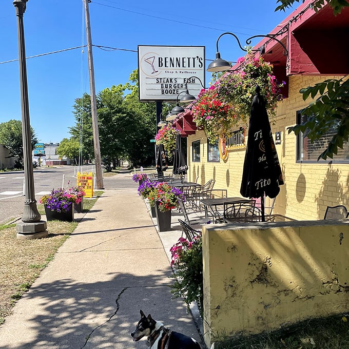 Those colorful flower baskets aren't just for show – they're Bennett's subtle way of saying "Yes, we're approachable AND we know our steaks!"