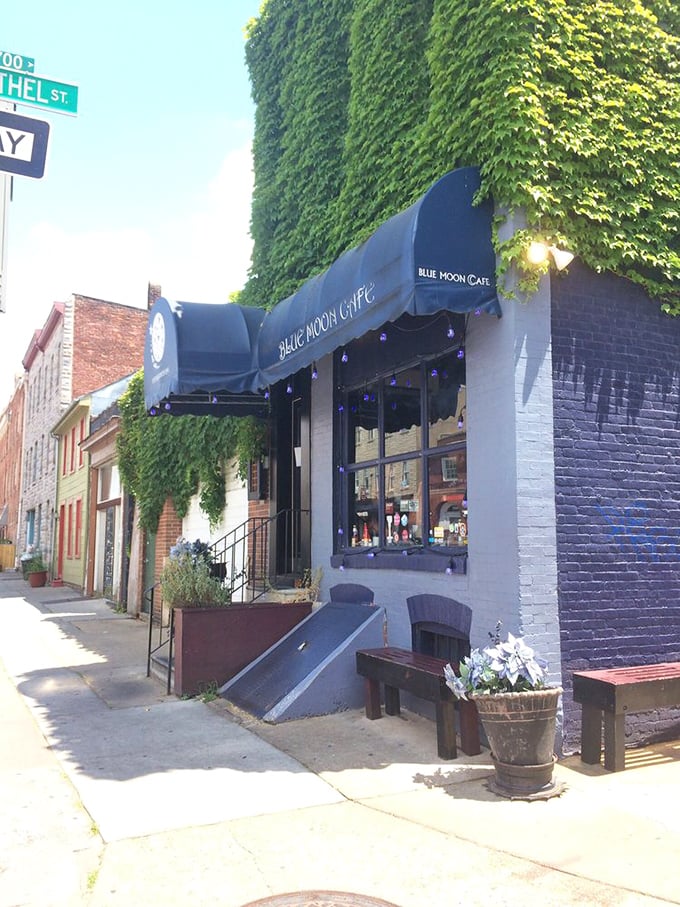 Nestled on a charming corner, Blue Moon Cafe's lush greenery and twinkling lights promise a magical dining experience.